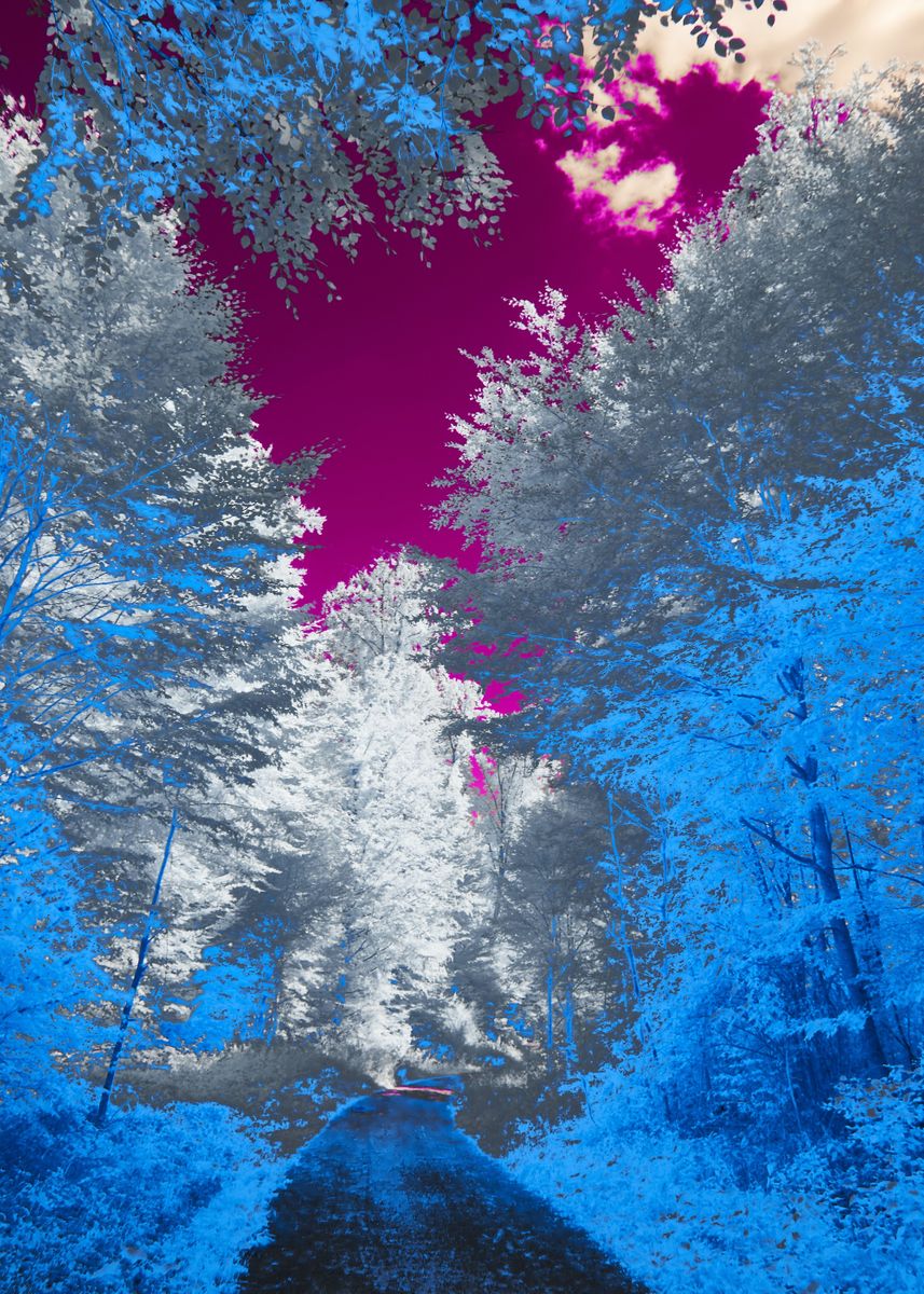 'Abstract nature' Poster, picture, metal print, paint by Stephen ...