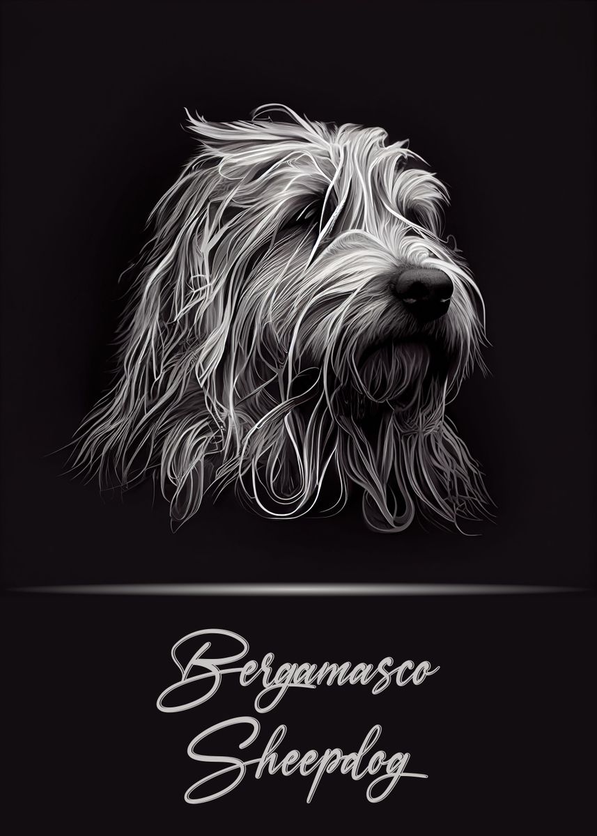 'Bergamasco Sheepdog' Poster, picture, metal print, paint by Artistic ...