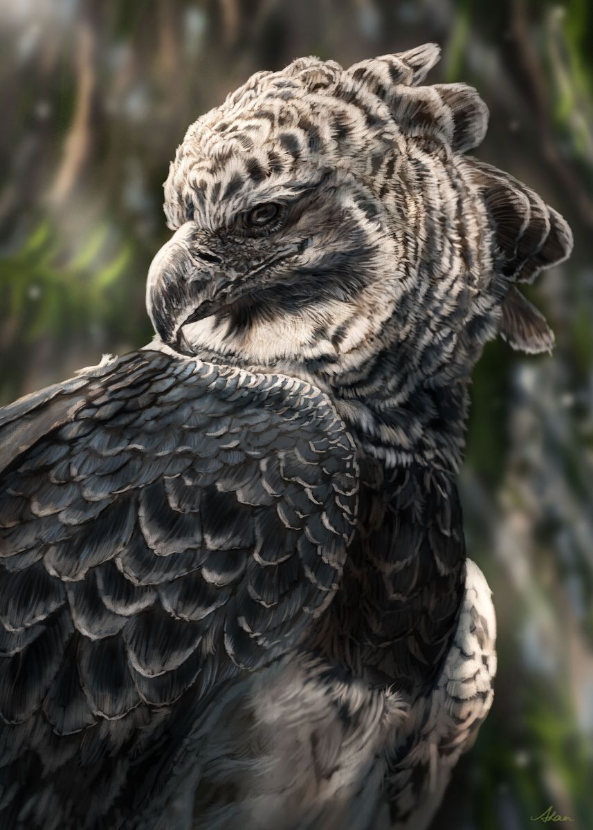 'Harpy Eagle' Poster, picture, metal print, paint by alandodrawing ...