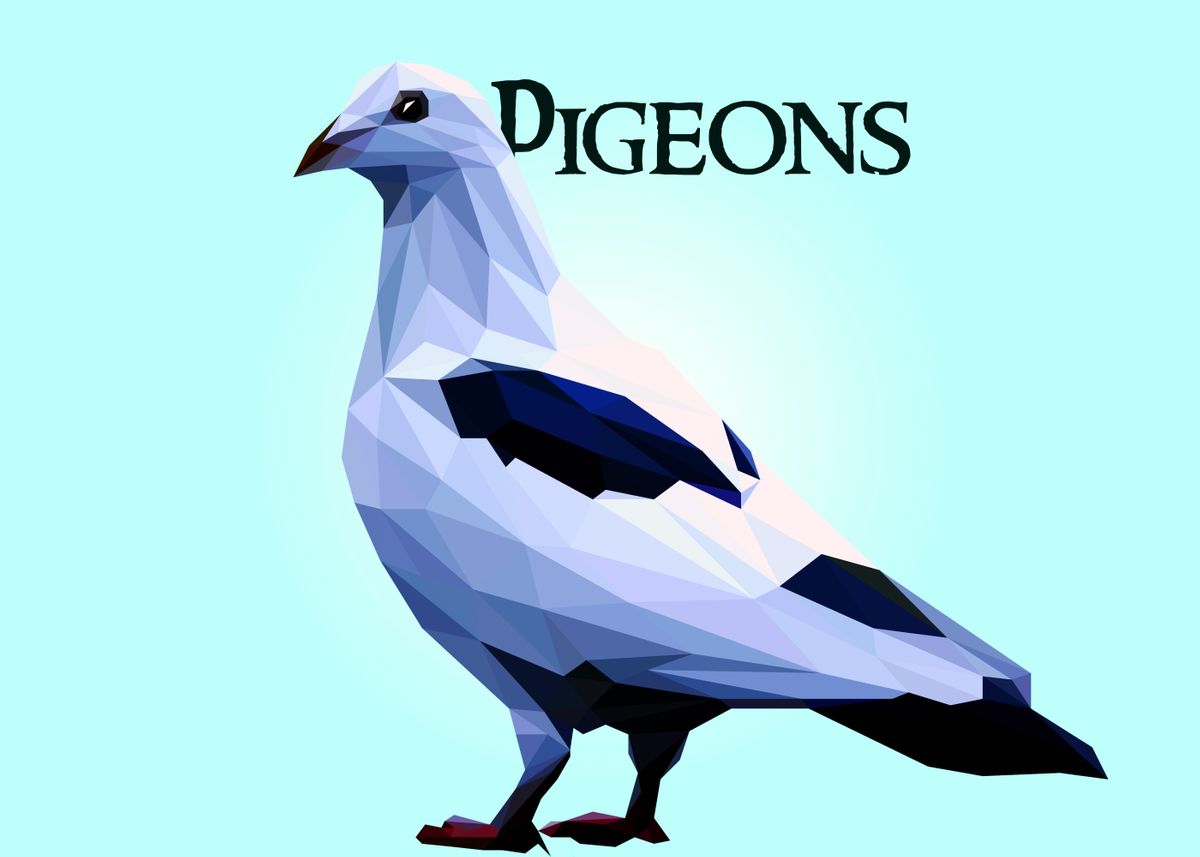 'Pigeon' Poster by Dare Neil | Displate