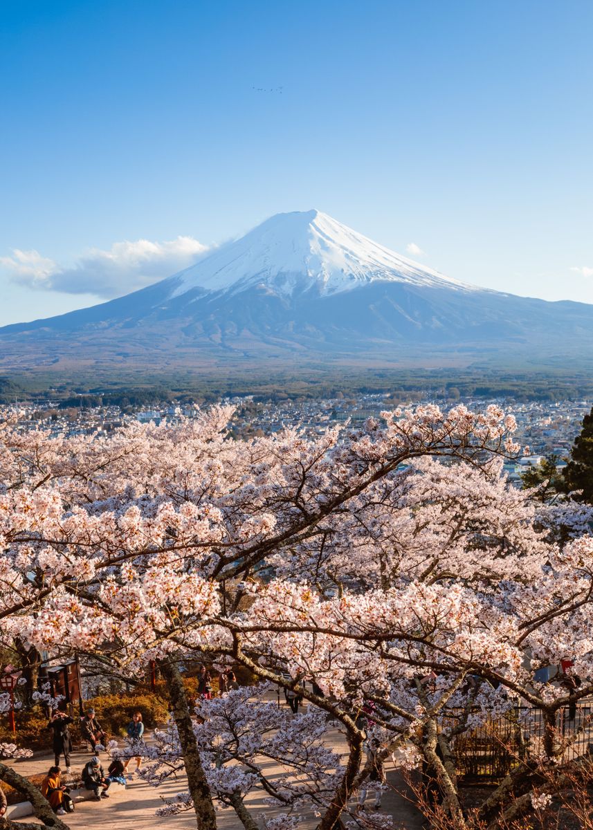 'Mount Fuji in spring Japan' Poster, picture, metal print, paint by ...