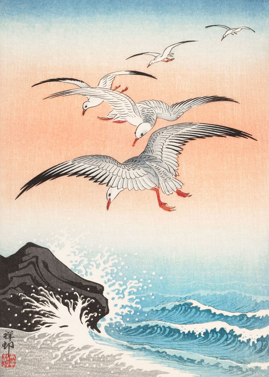 'Five Seagulls ' Poster, picture, metal print, paint by Mango Art ...