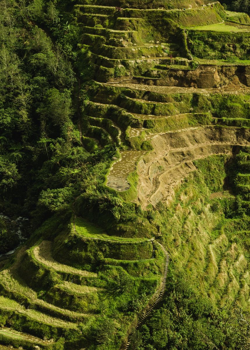 'Banaue' Poster by Nicolas Pardoel | Displate