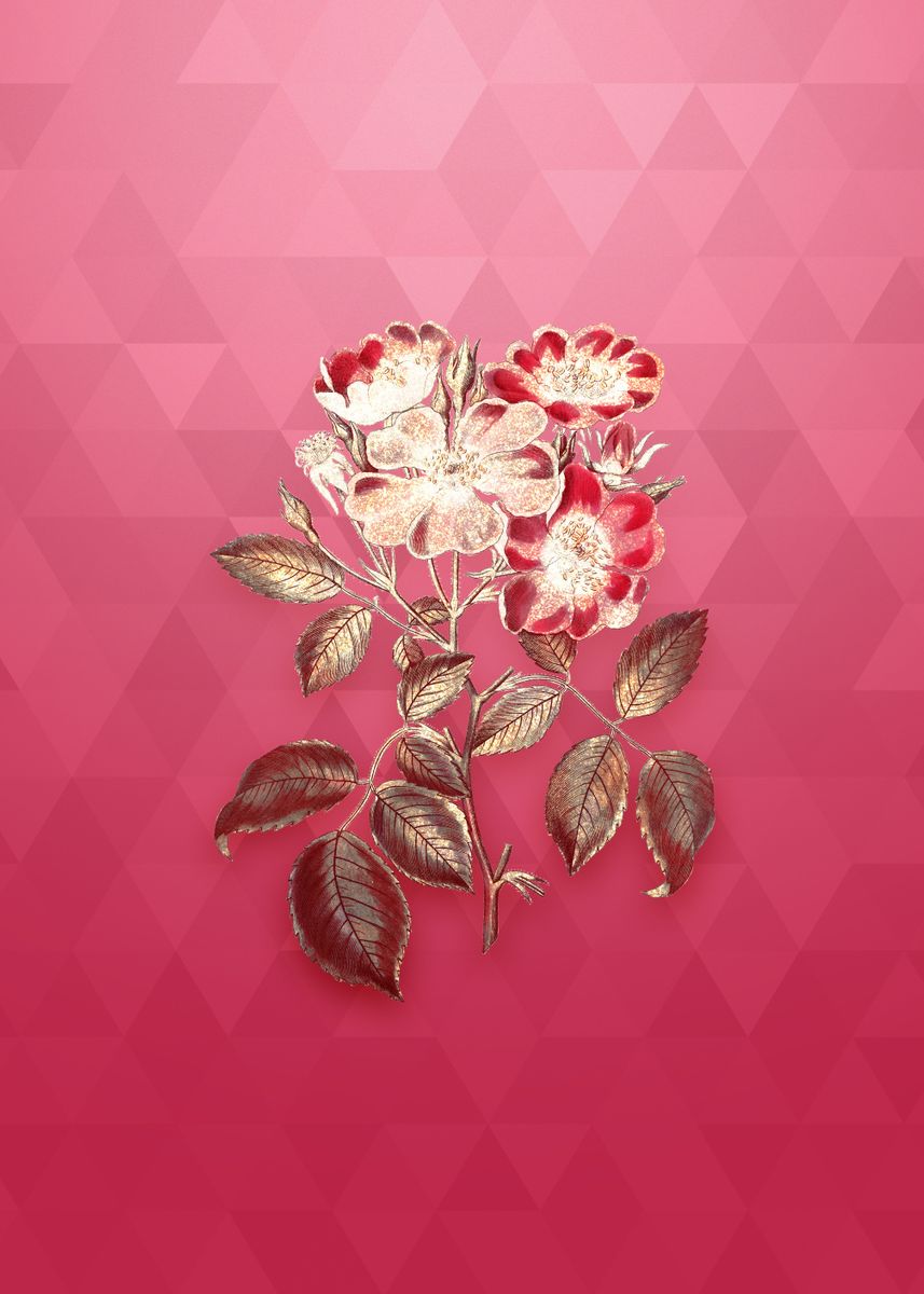 'Vintage Rose Clare Flower' Poster, picture, metal print, paint by Holy ...