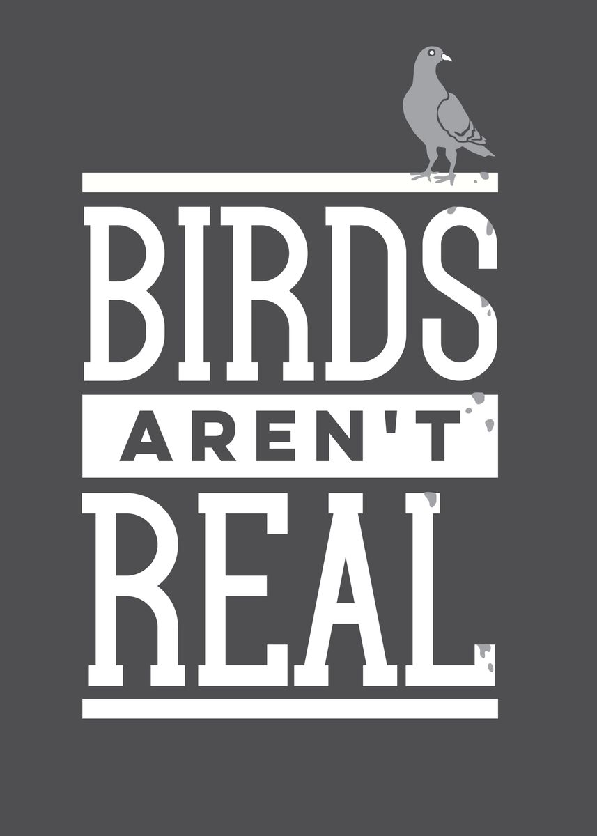 'Birds Are Not Real' Poster, picture, metal print, paint by Detour ...