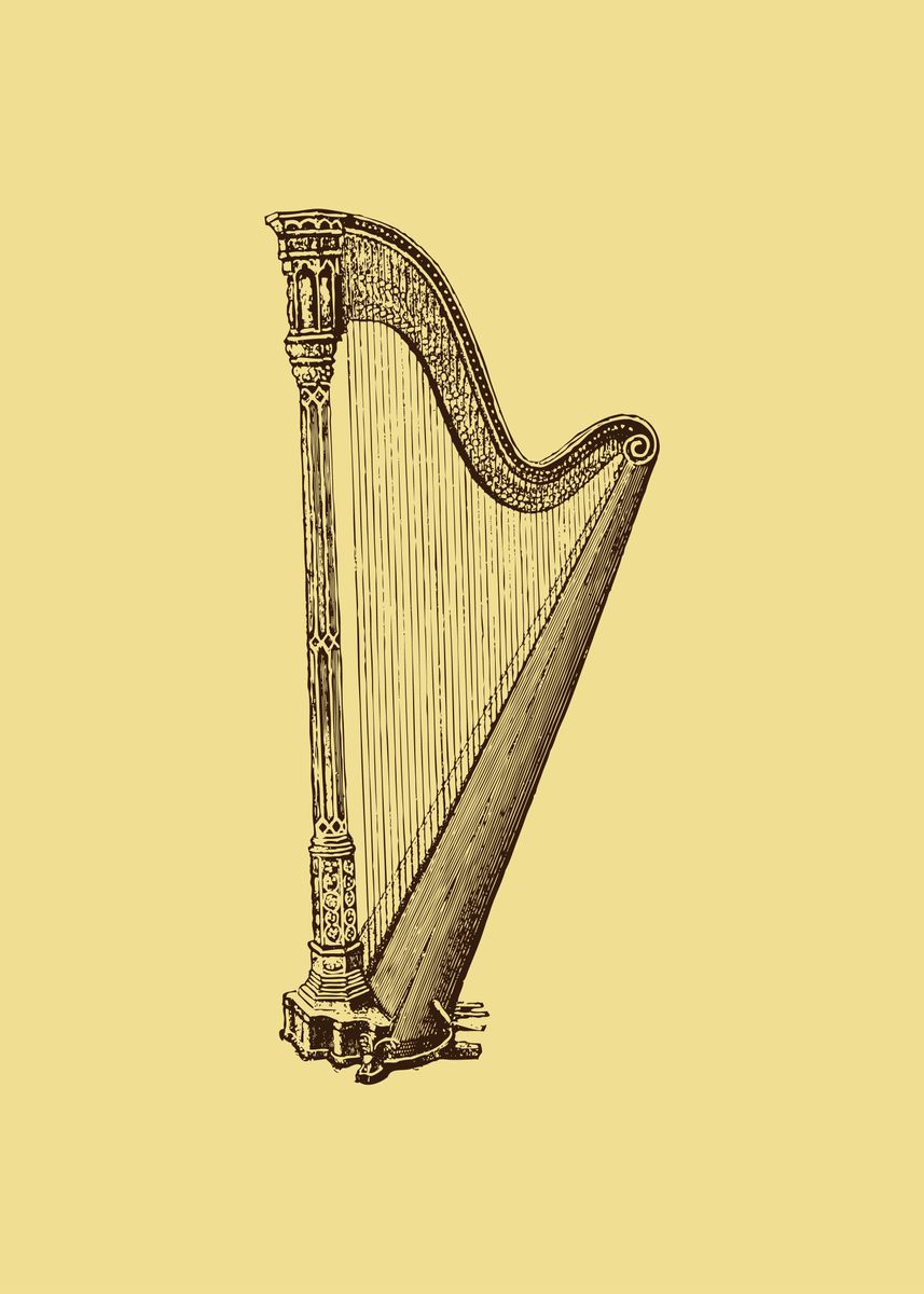 'music instrument' Poster by Selja Myndir | Displate