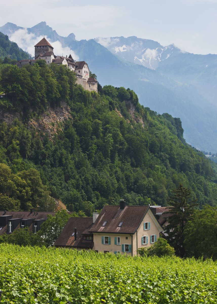 'Liechtenstein' Poster, picture, metal print, paint by Nicolas Pardoel ...
