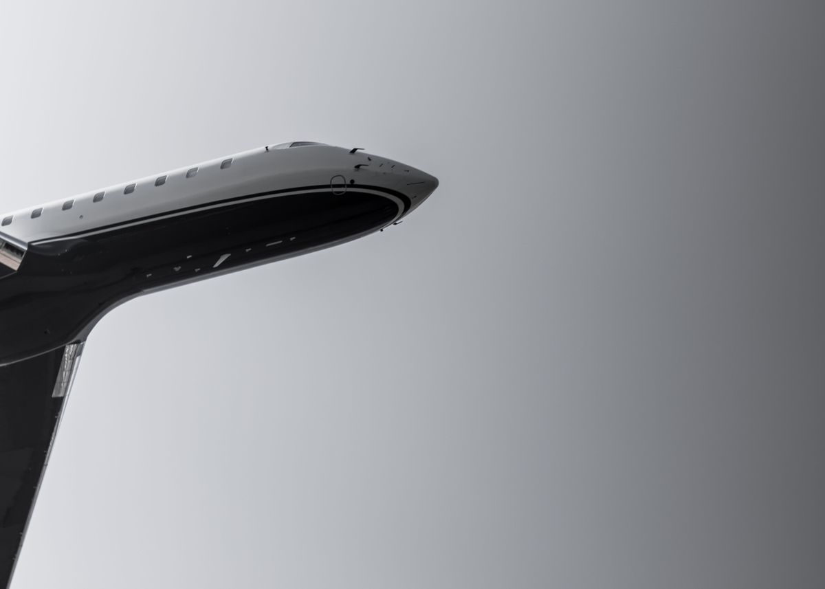 'Private Jet nose' Poster by Nicolas Monod | Displate