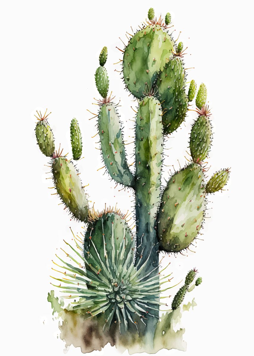 'Cactus Watercolor flower' Poster, picture, metal print, paint by Neo ...
