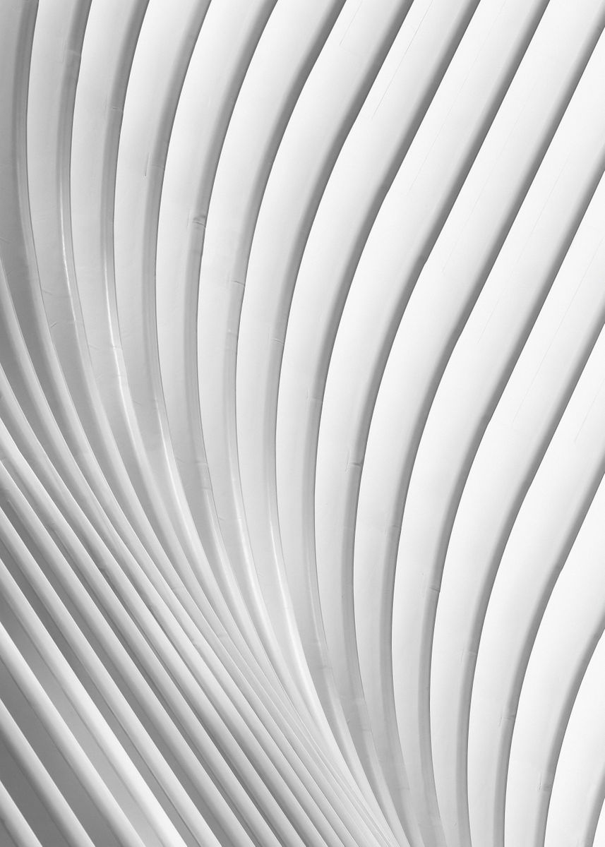 'Calatrava Lines' Poster, picture, metal print, paint by World Class ...