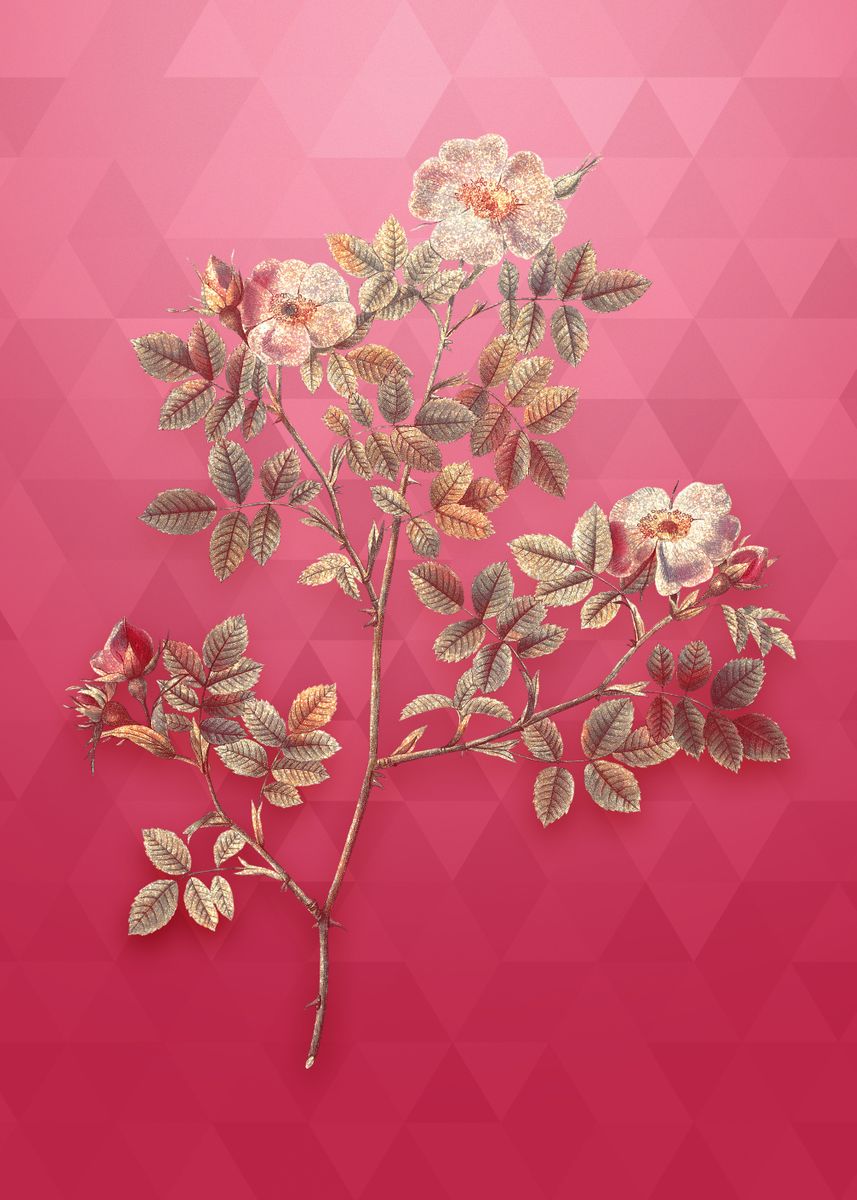 'Vintage Gold Rose Corymb' Poster, picture, metal print, paint by Holy ...