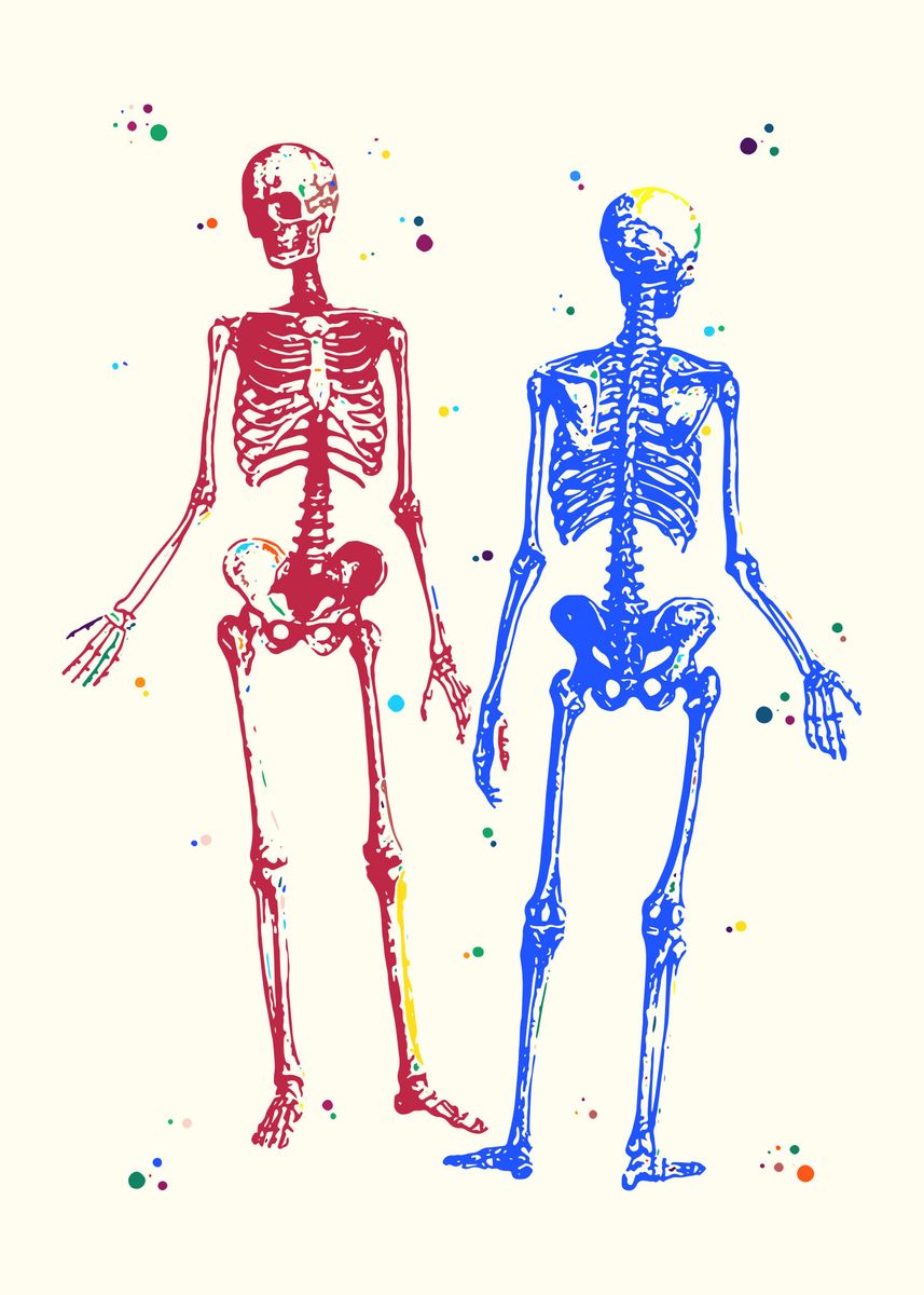 'Human Skeleton Painting' Poster, picture, metal print, paint by Dutton ...