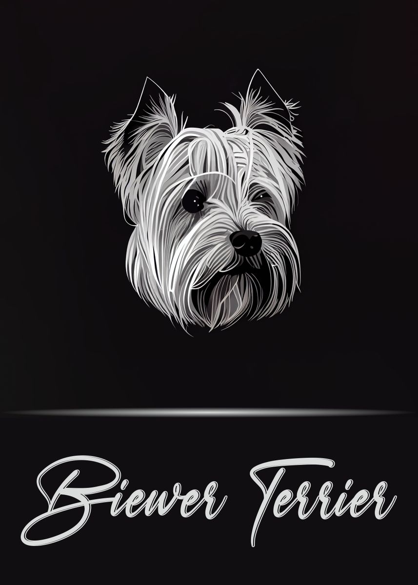 'Biewer Terrier' Poster, picture, metal print, paint by Artistic ...