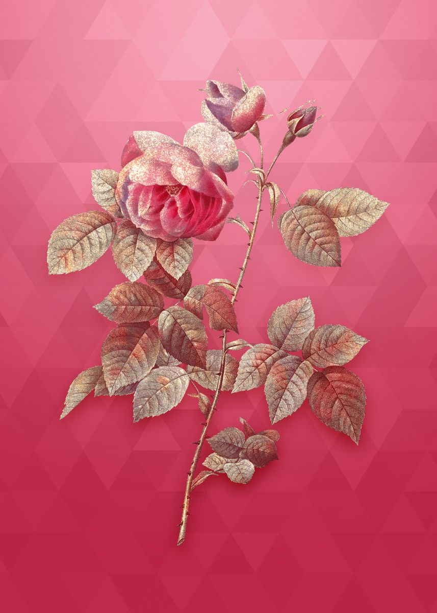 'Pink Bourbon Roses on Red' Poster, picture, metal print, paint by Holy ...