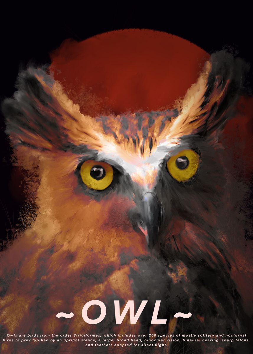'The OWL' Poster, picture, metal print, paint by CRAFTSSSTUDIO | Displate
