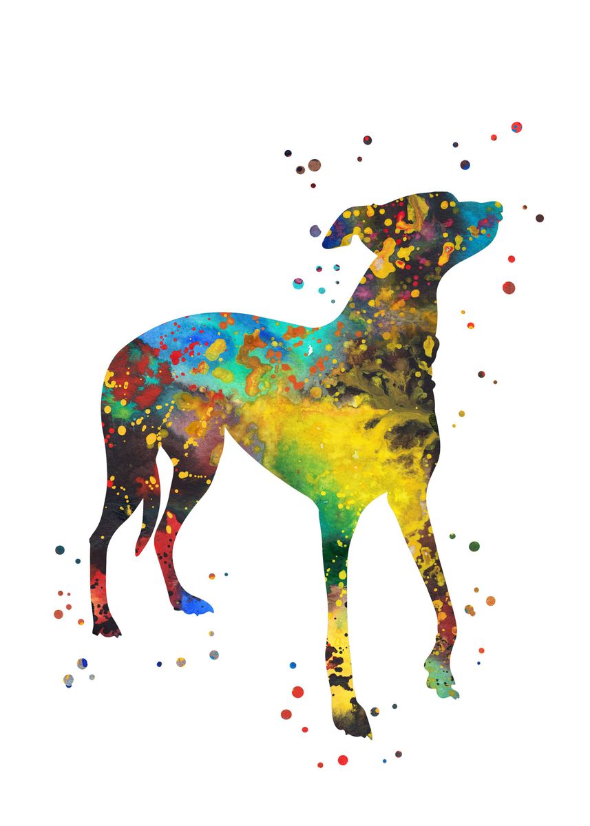 'Greyhound' Poster, picture, metal print, paint by RosaliasArt | Displate