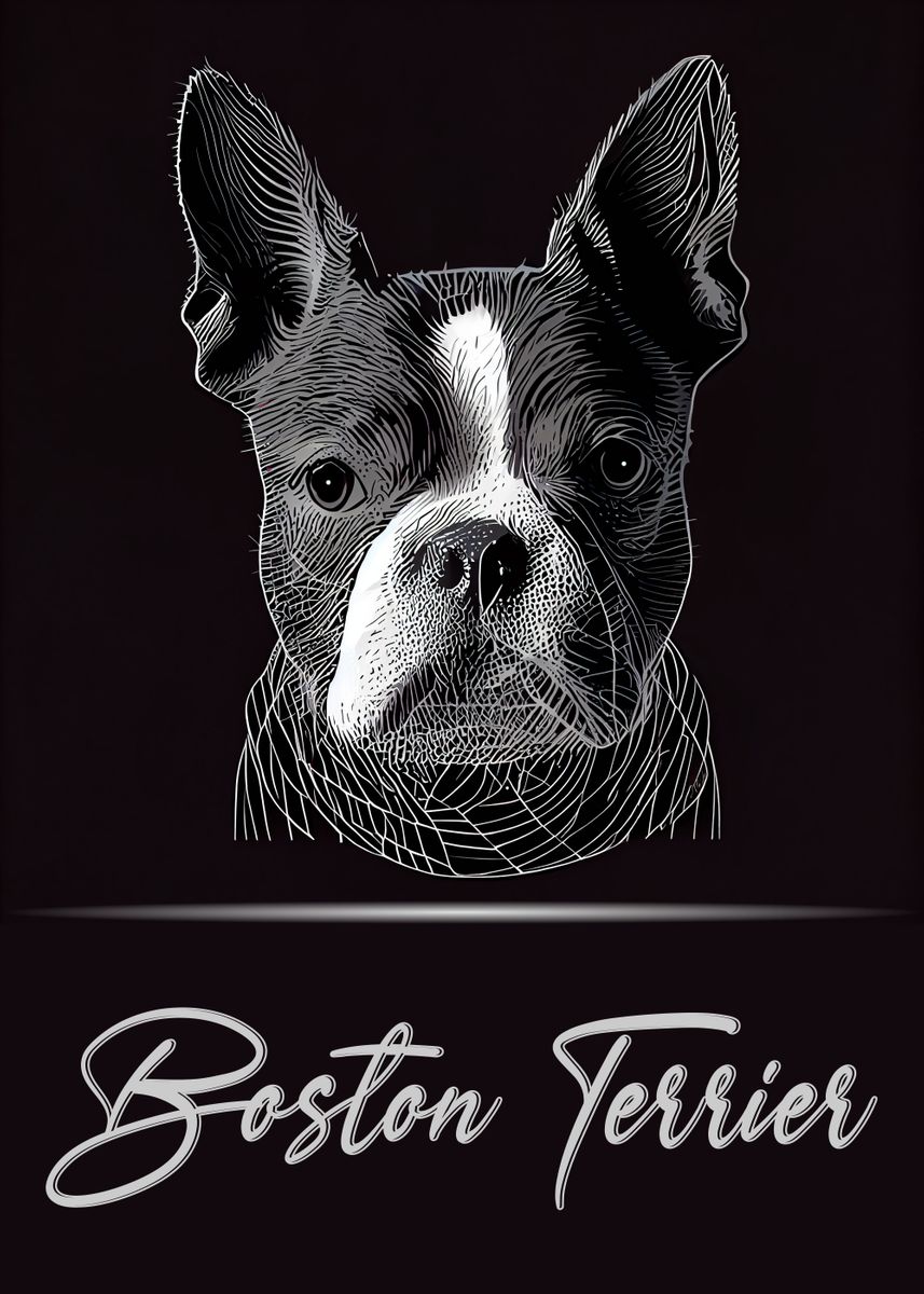 'Boston Terrier Portrait' Poster, picture, metal print, paint by Artistic Paradigms | Displate
