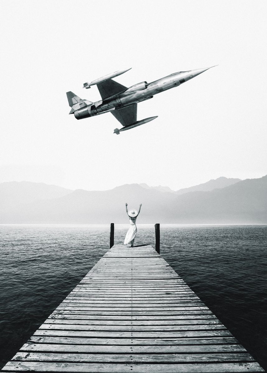 'lady and fighter jet' Poster, picture, metal print, paint by cookaynne ...