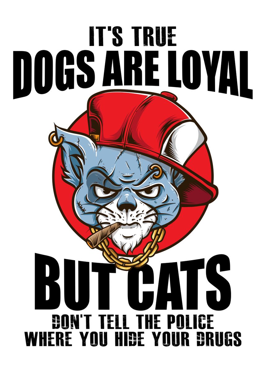 'Cats Dont Tell' Poster, picture, metal print, paint by crbn design ...
