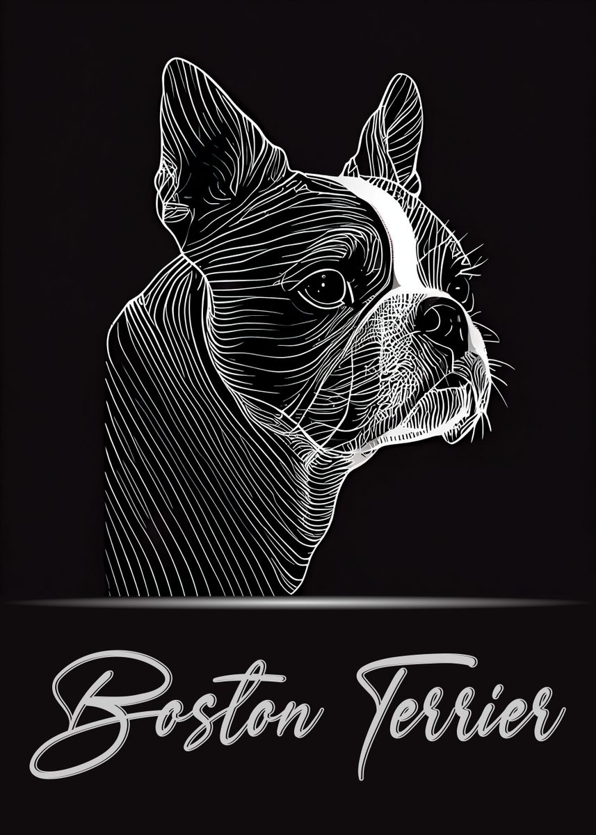 'Boston Terrier' Poster, picture, metal print, paint by Artistic Paradigms | Displate