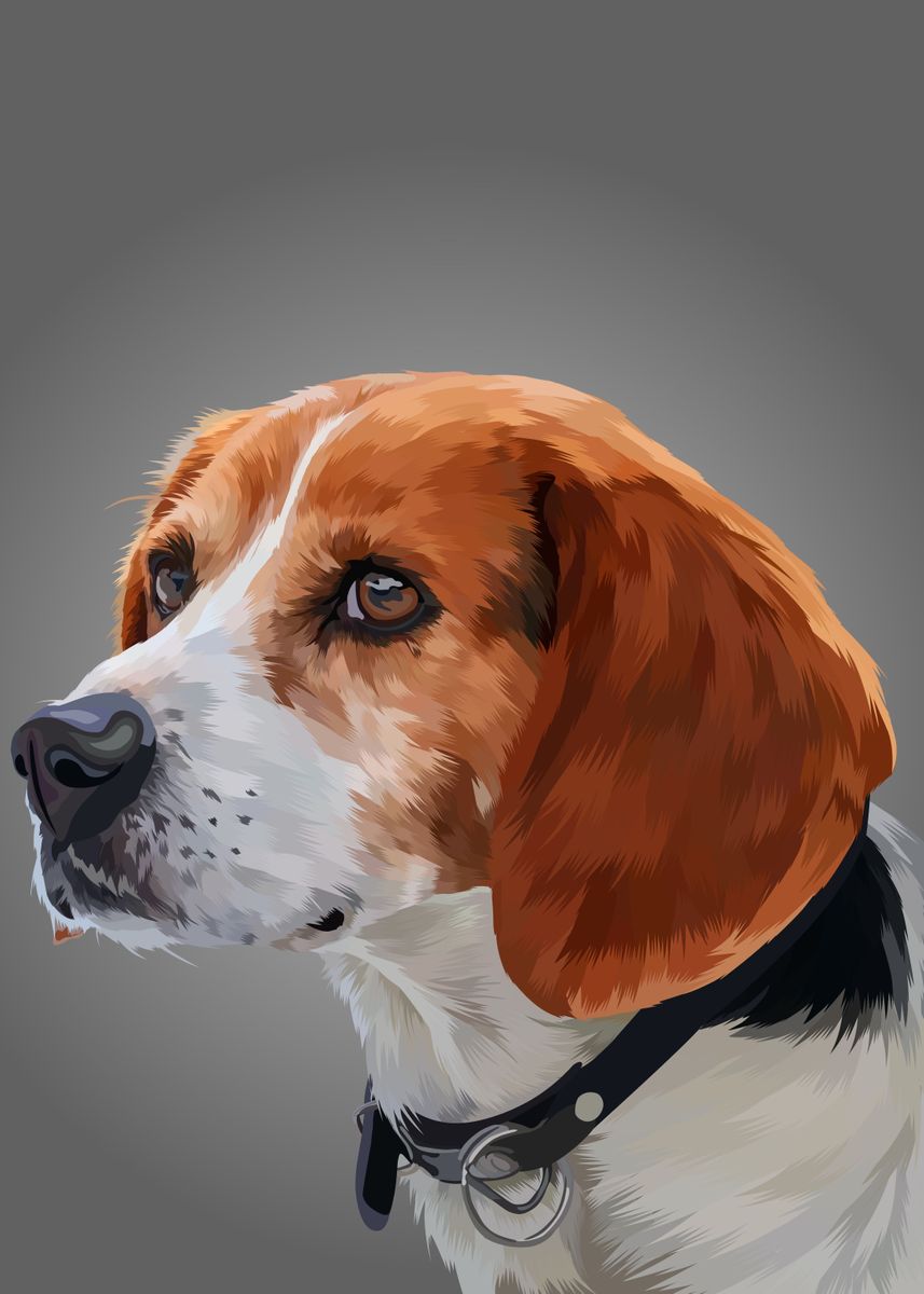 'Begale dog in vector style' Poster, picture, metal print, paint by ...