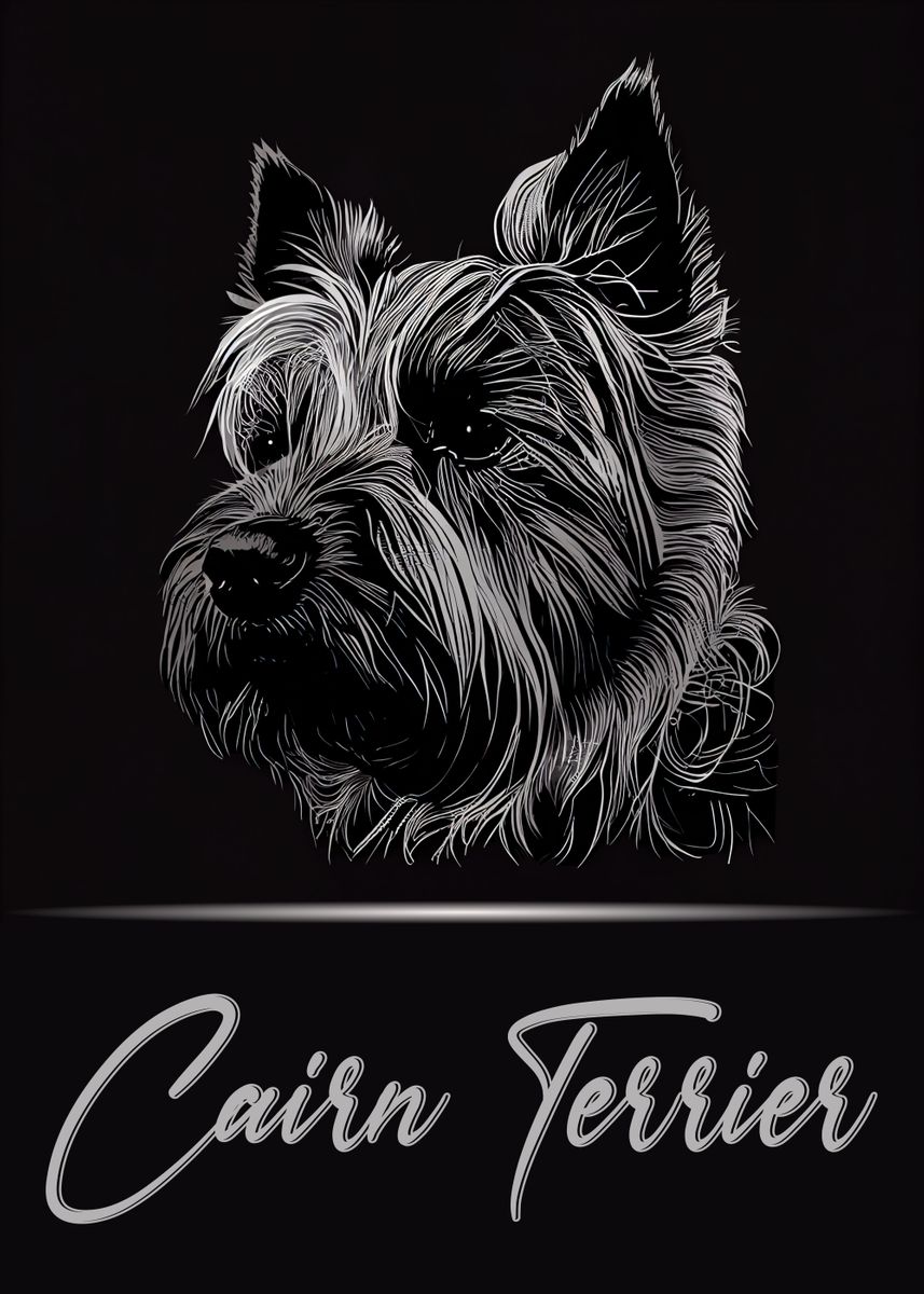 'Cairn Terrier Portrait' Poster, picture, metal print, paint by Artistic Paradigms | Displate