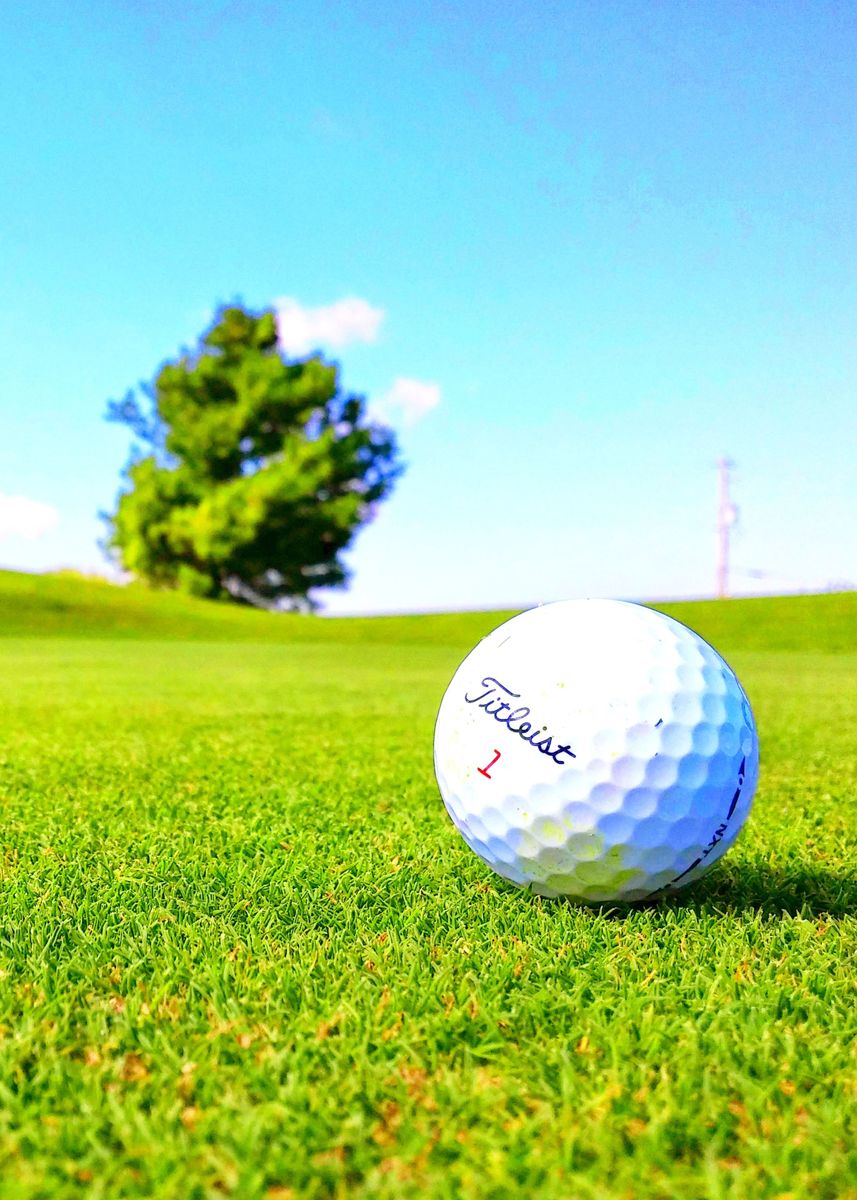 'Golf' Poster, picture, metal print, paint by Jack Far | Displate