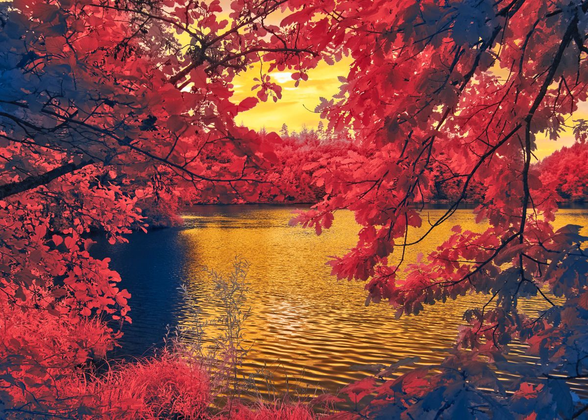 'Autumn change' Poster by Stephen Bredenkamp | Displate