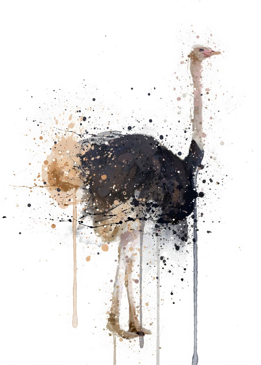 'Ostrich' Poster, picture, metal print, paint by Izu | Displate