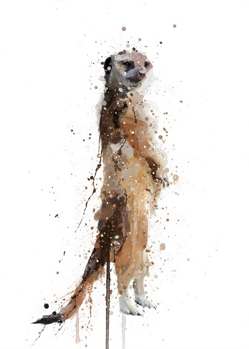 'Meerkat' Poster, picture, metal print, paint by Izu | Displate