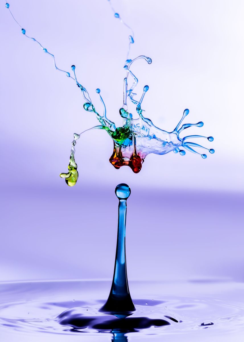 'phenix' Poster, picture, metal print, paint by LAURENT HUTINET | Displate