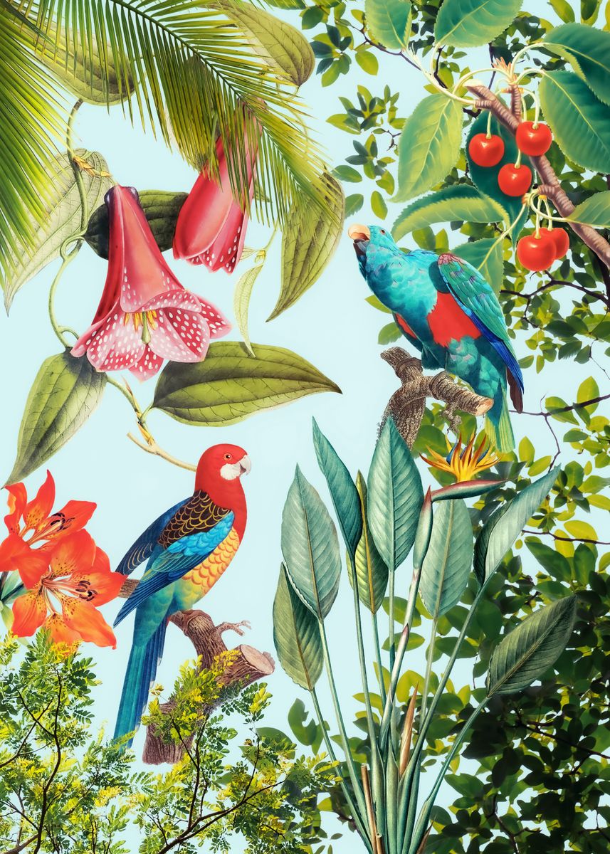'Tropical Birds' Poster, picture, metal print, paint by Mango Art ...