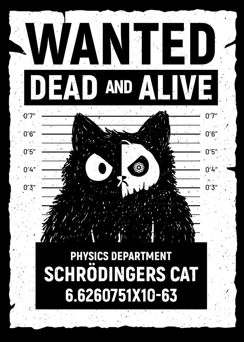 'Schrodingers cat DOA' Poster, picture, metal print, paint by Chris ...