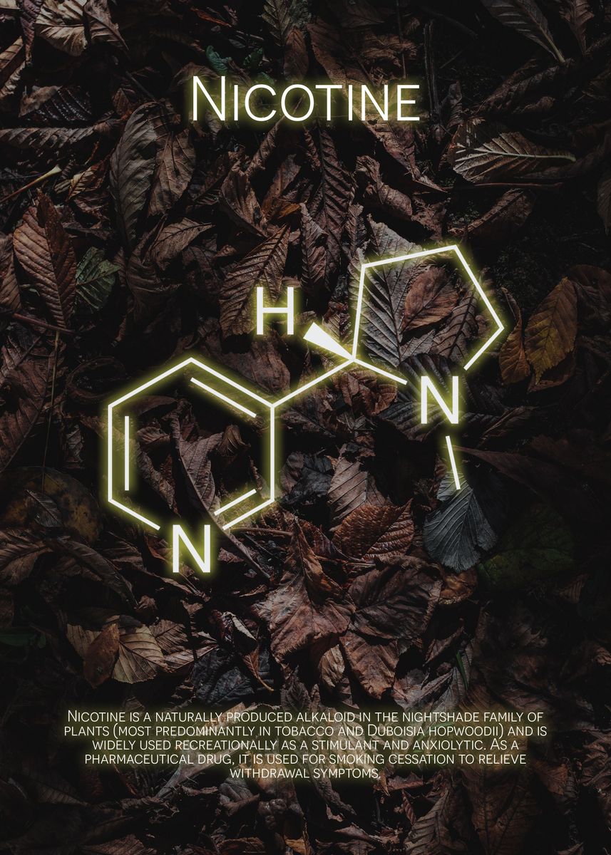 'Nicotine Molecule' Poster, picture, metal print, paint by Edgars Zunda ...
