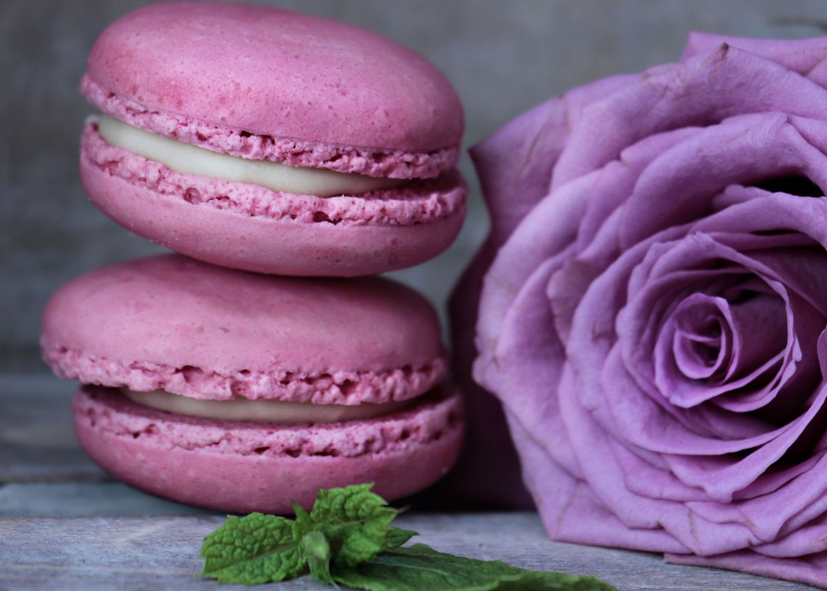 'mint rose pink macaroons ' Poster by Eng Hadoool | Displate