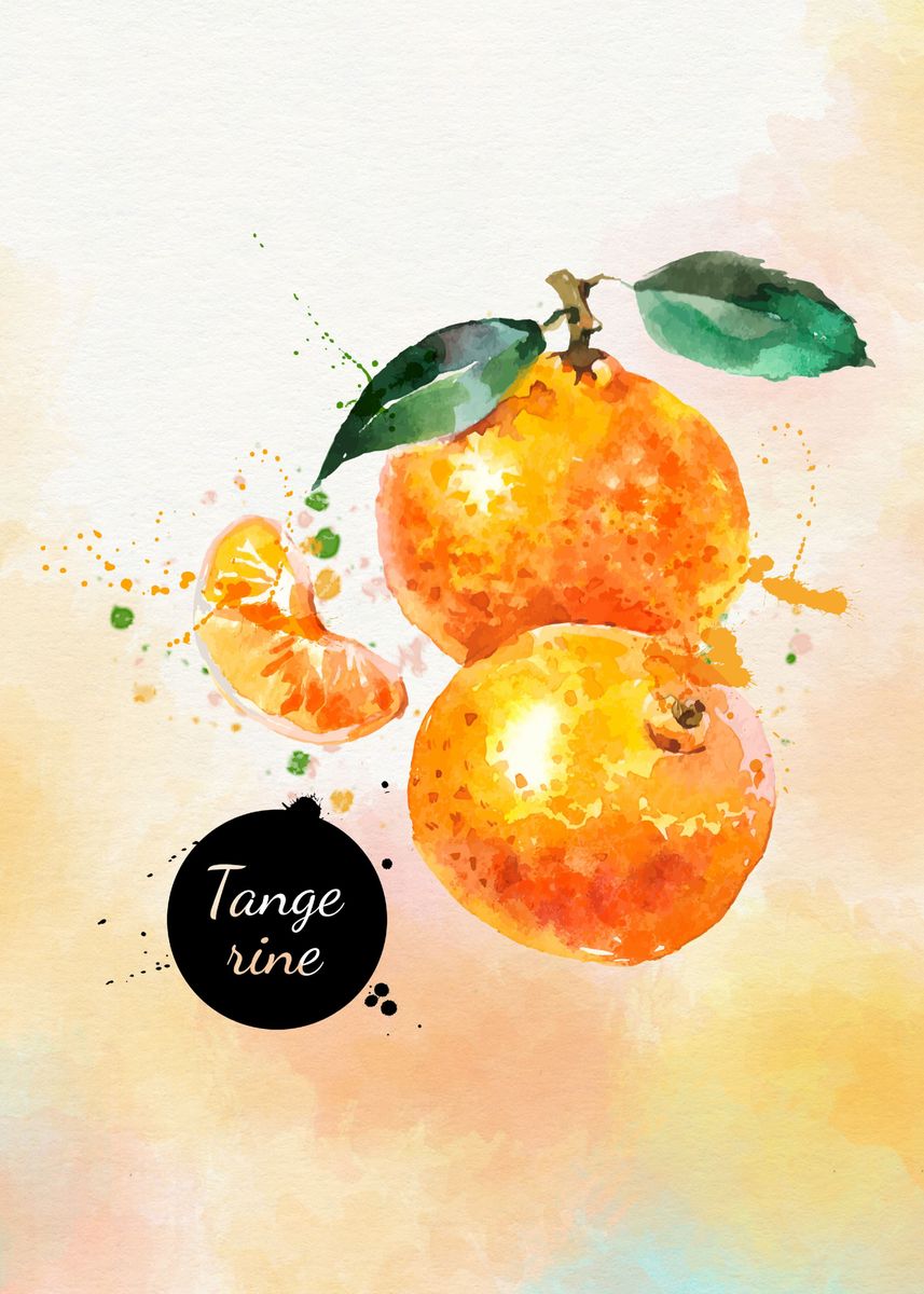 'tangerine fruit watercolor' Poster, picture, metal print, paint by ...