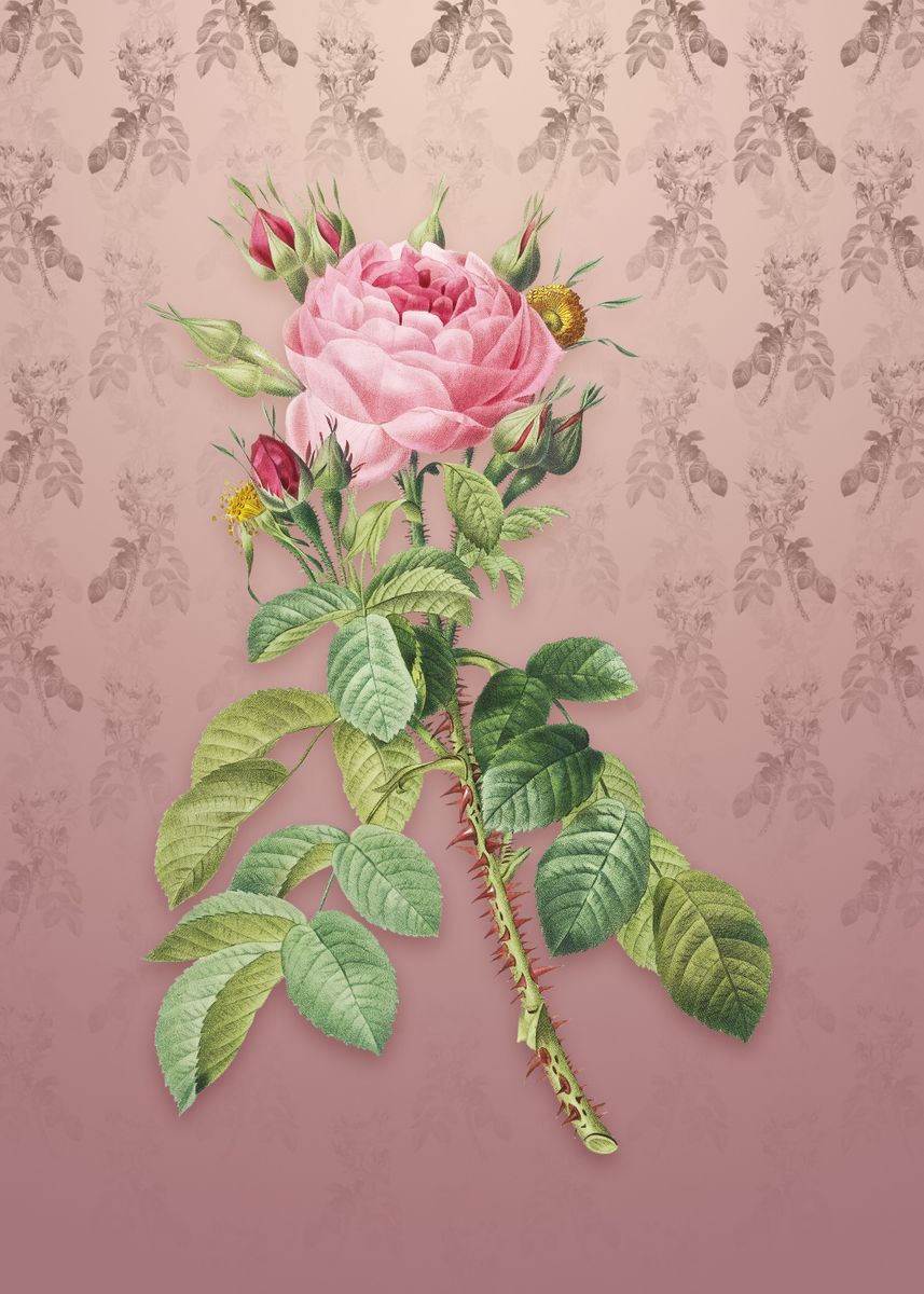 'Vintage Four Seasons Rose' Poster, picture, metal print, paint by Holy ...