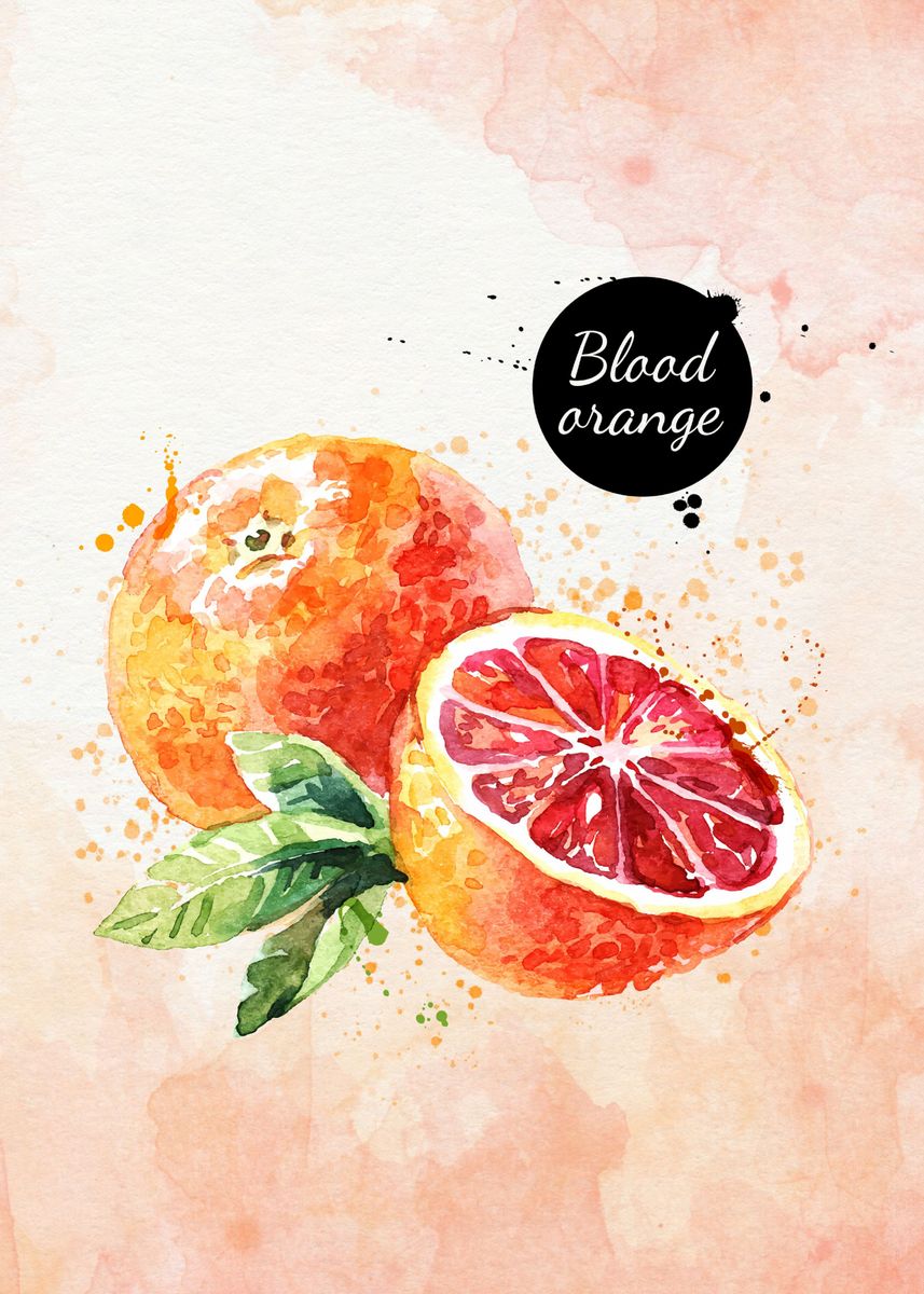 'blood orange watercolor' Poster, picture, metal print, paint by thoif ...