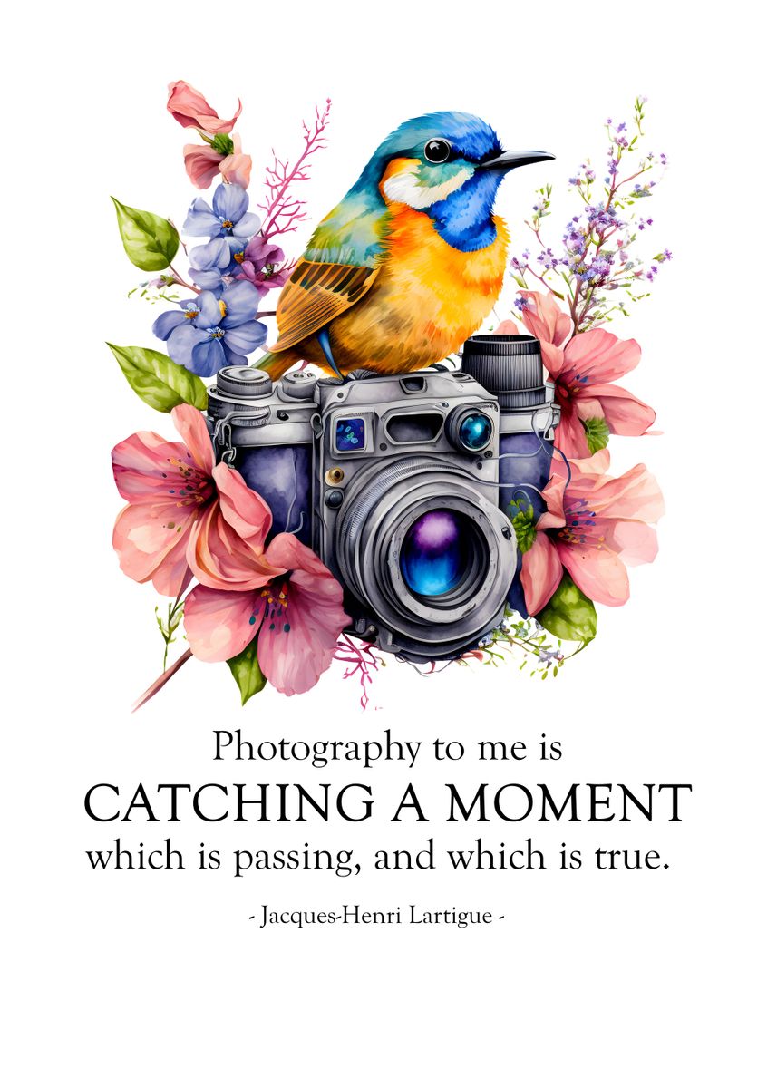 'Catching a moment' Poster, picture, metal print, paint by Juliana RW ...