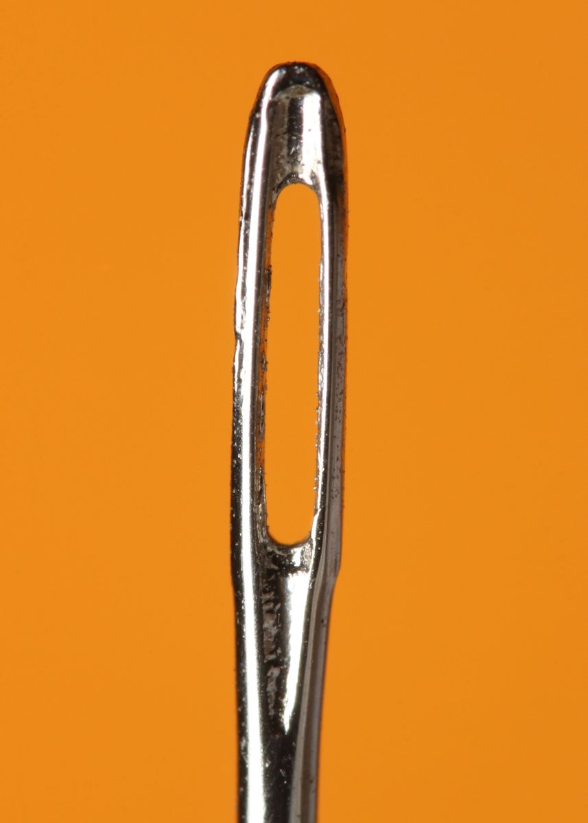 'Hand sewing needle' Poster, picture, metal print, paint by Renato ...