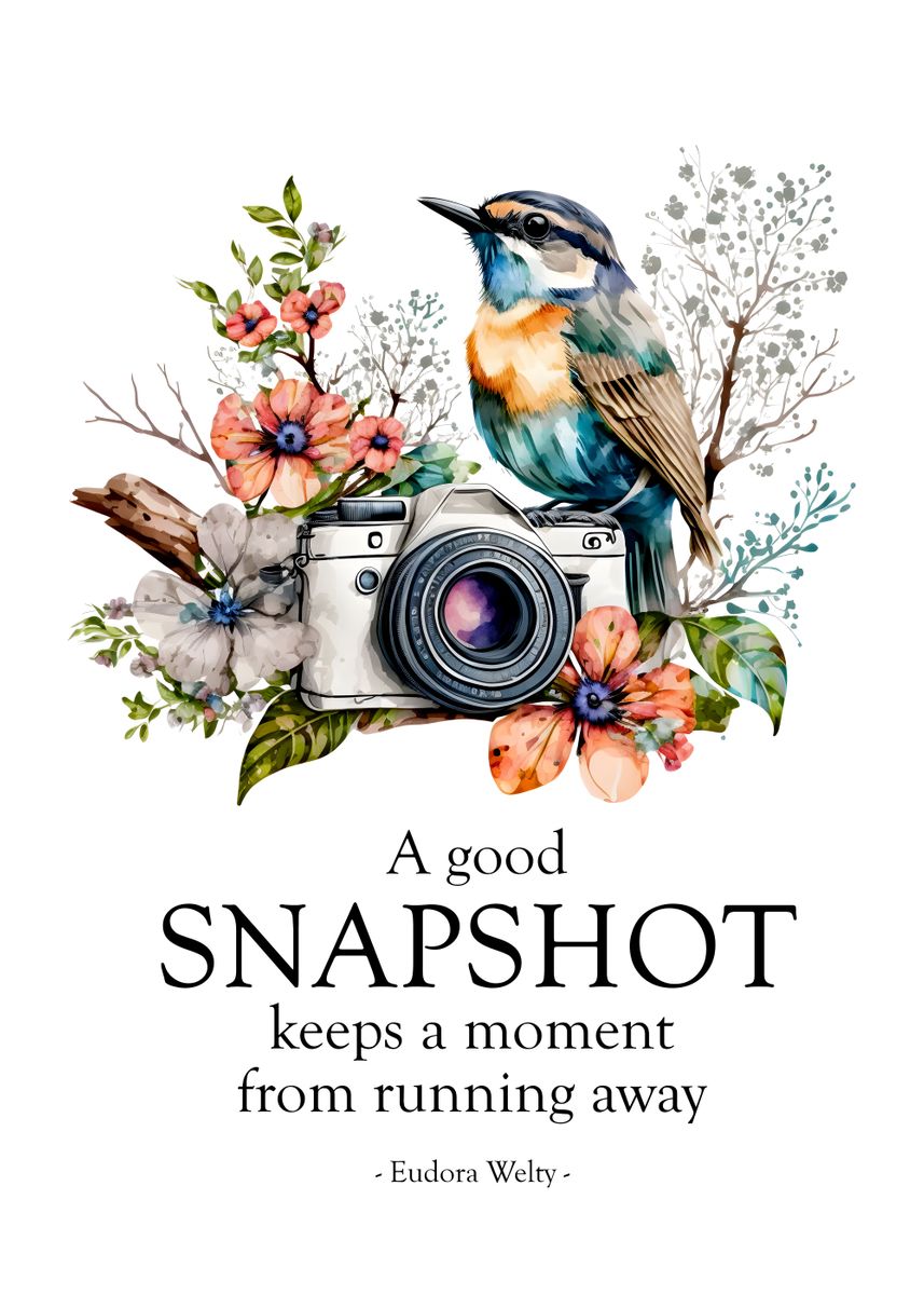 'A good snapshot' Poster, picture, metal print, paint by Juliana RW ...