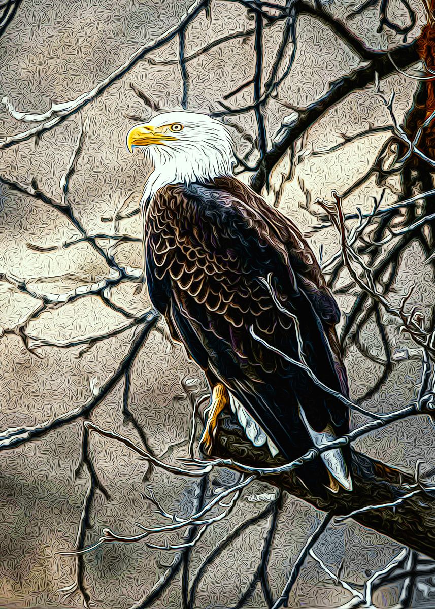 'Eagle' Poster, picture, metal print, paint by Tiker Arts | Displate