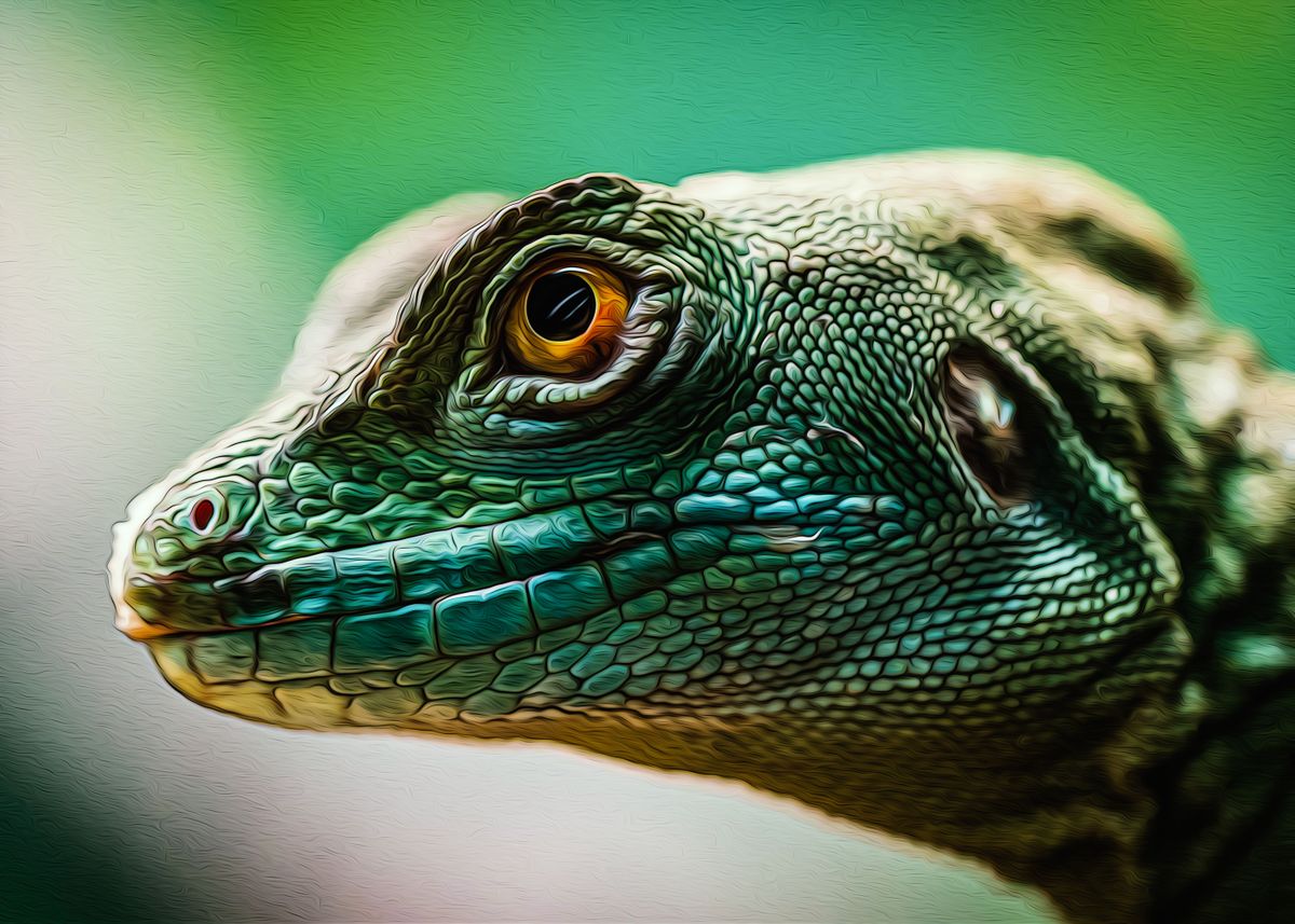 'Iguana' Poster by Tiker Arts | Displate