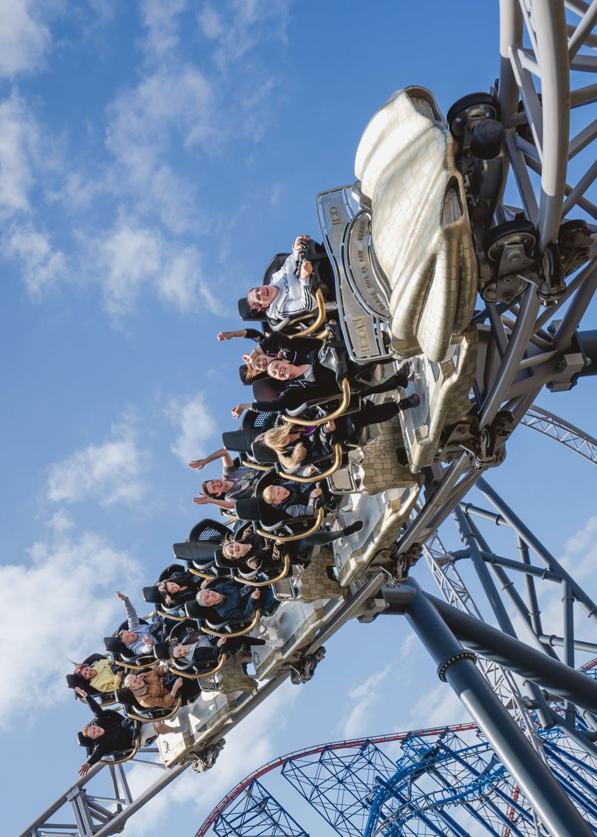 'Icon Rollercoaster' Poster, picture, metal print, paint by Coastertog ...
