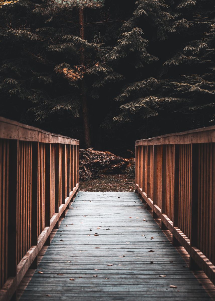 'Forbidden Path' Poster, picture, metal print, paint by Ryan MCDONNELL ...