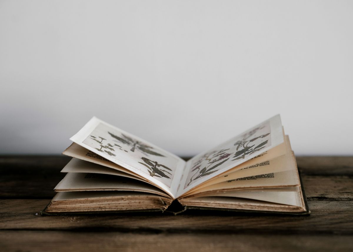 'Bookmark' Poster by BT digital | Displate