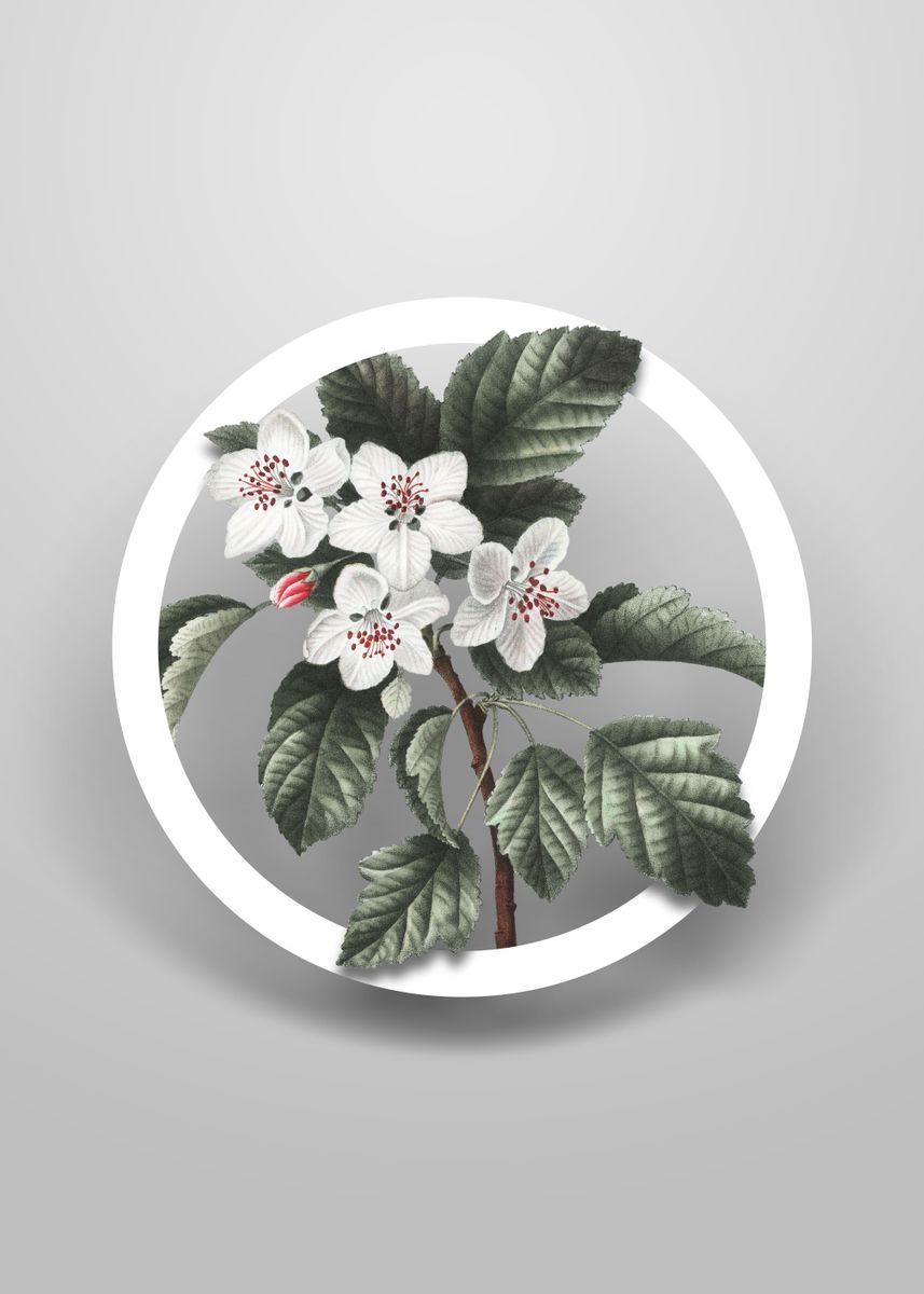 'Sweet Crabapple Flower Art' Poster, picture, metal print, paint by ...