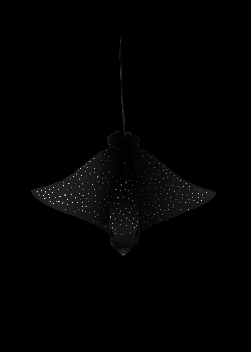 'Spotted Eagle Ray Dark' Poster, picture, metal print, paint by Shamoon ...