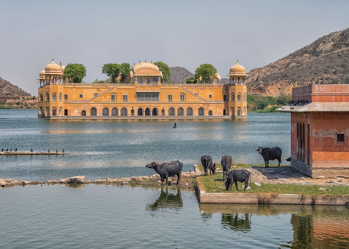 'Jal Mahal' Poster by Mango Art | Displate