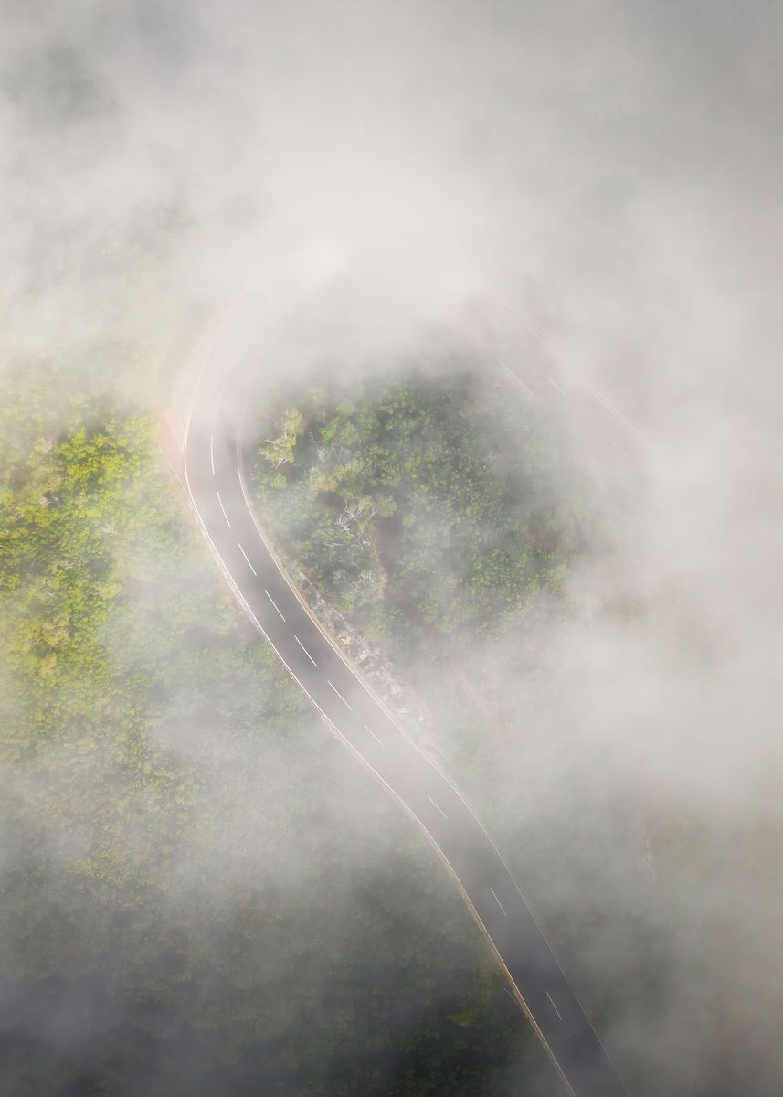 'Foggy Road on Madeira' Poster, picture, metal print, paint by Roman ...